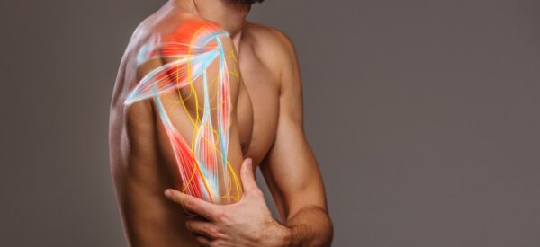 Distensión muscular: ¿Qué es y cómo se cura? » AMLA